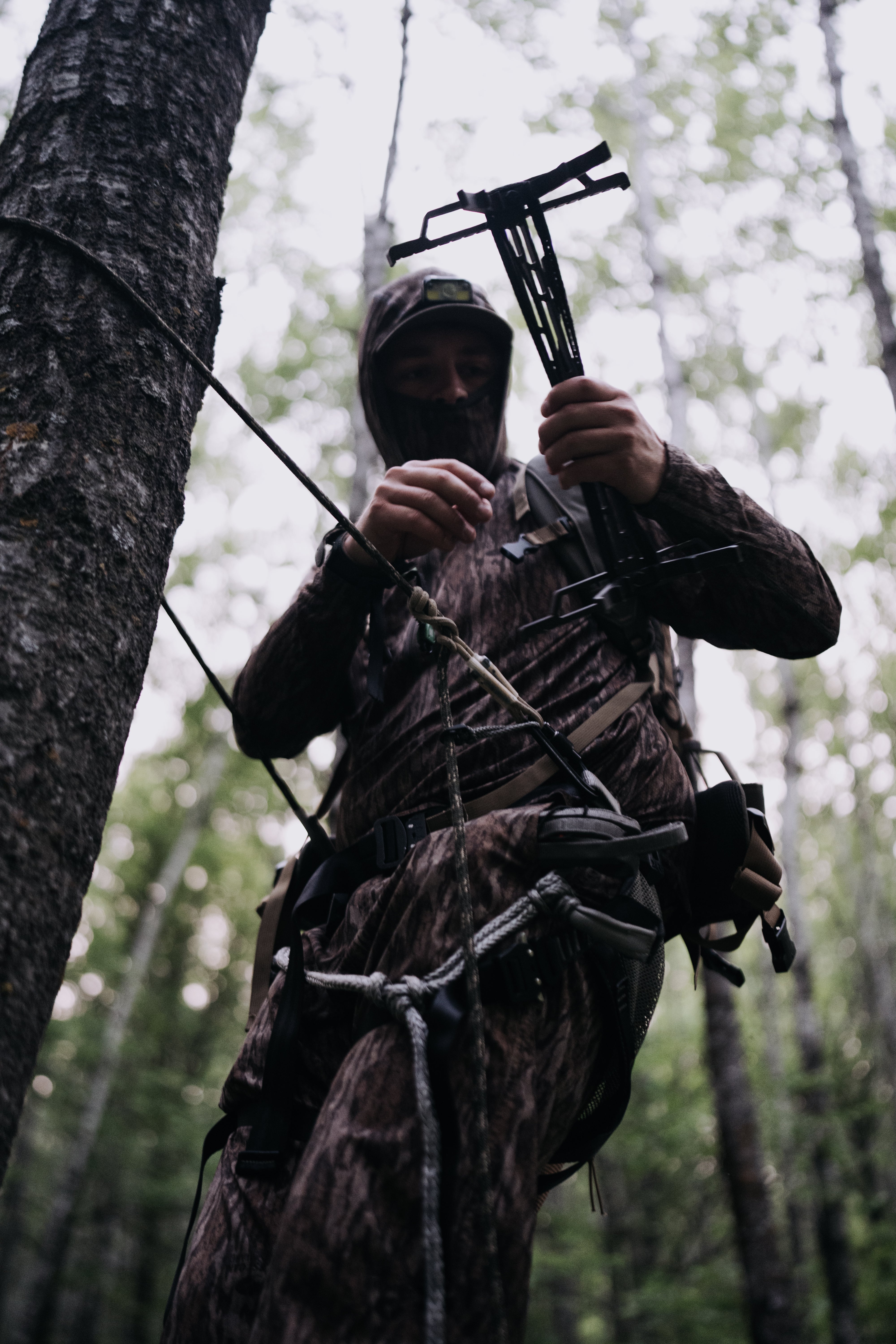 Climbing Sticks and Hang-On Tree Stand: Finding Your Perfect XOP Setup