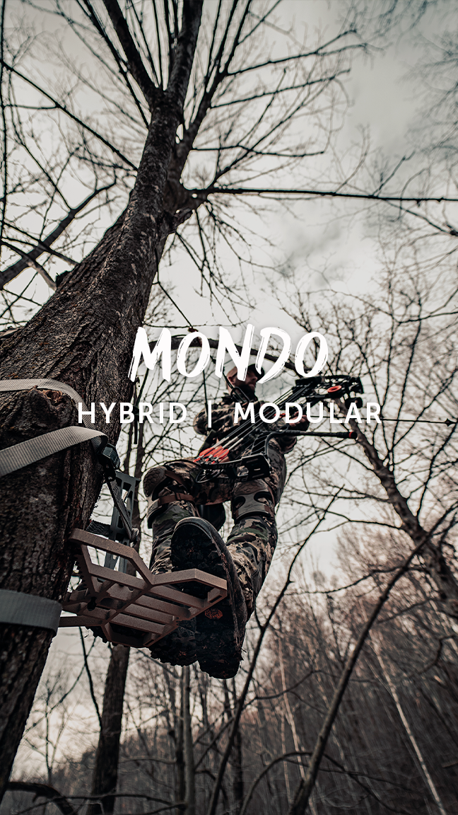 MONDO – XOP